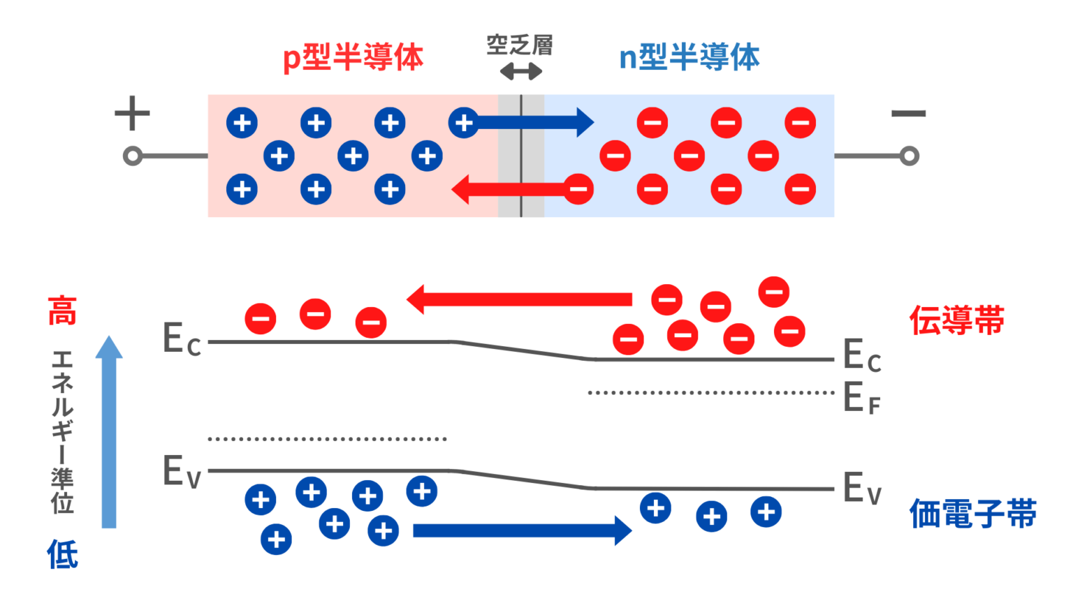 パワーダイオードの種類と動作原理：PN接合・PIN接合・ショットキーバリアダイオード(SBD) | Semi journal